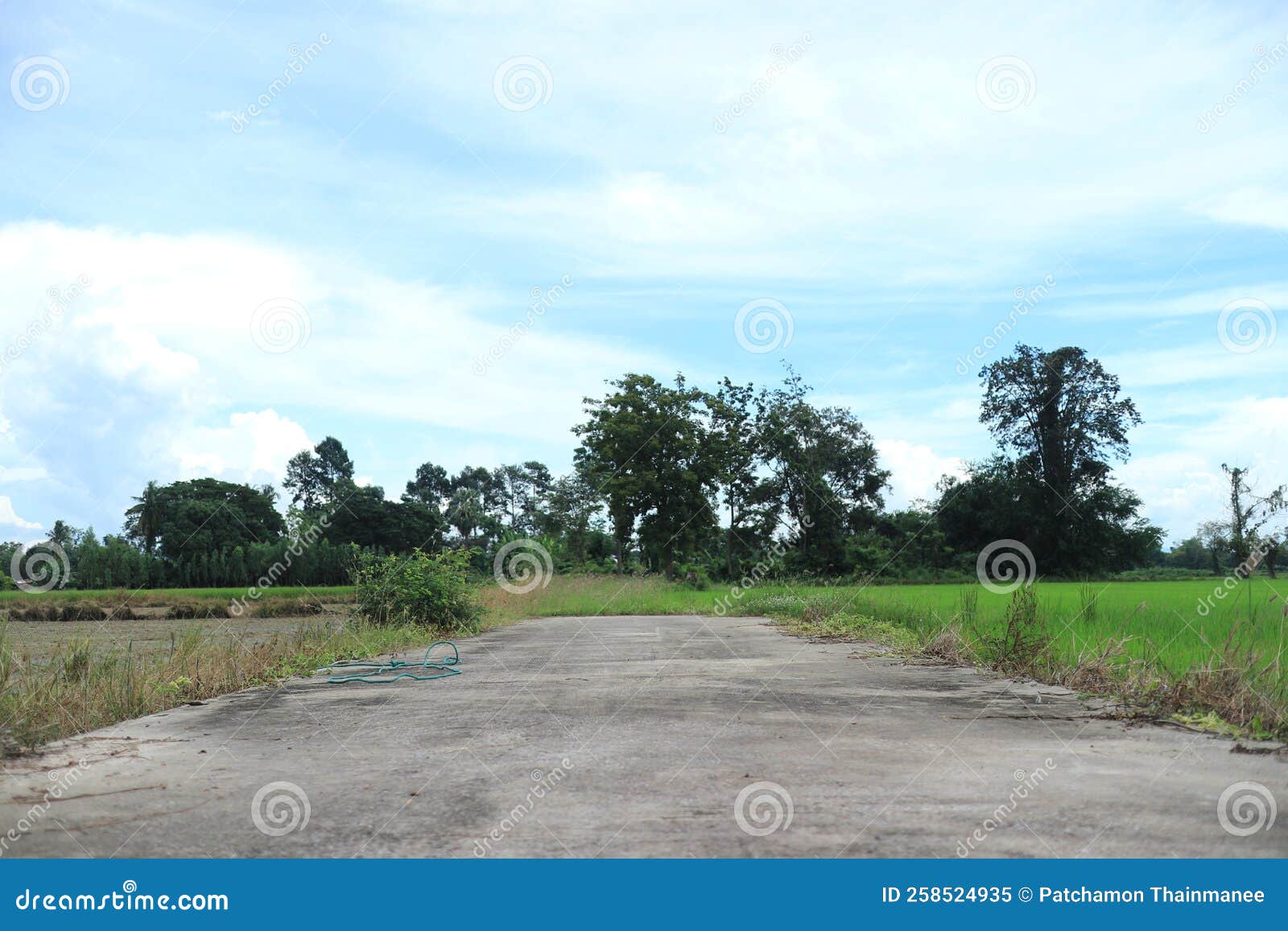 Empty Space Landscape Rural Road Cement Forest and Field Background ...