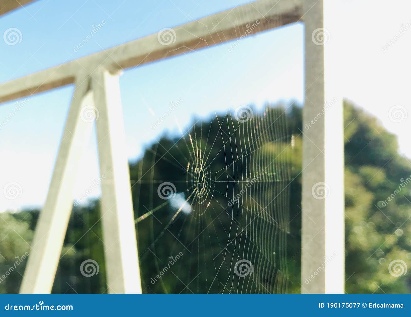 The Empty Spider Web on Iron Railings Stock Image - Image of field ...