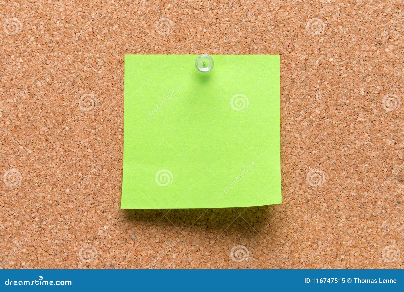 Empty Square Green Pinned Sheet Stock Image - Image of business, blank ...