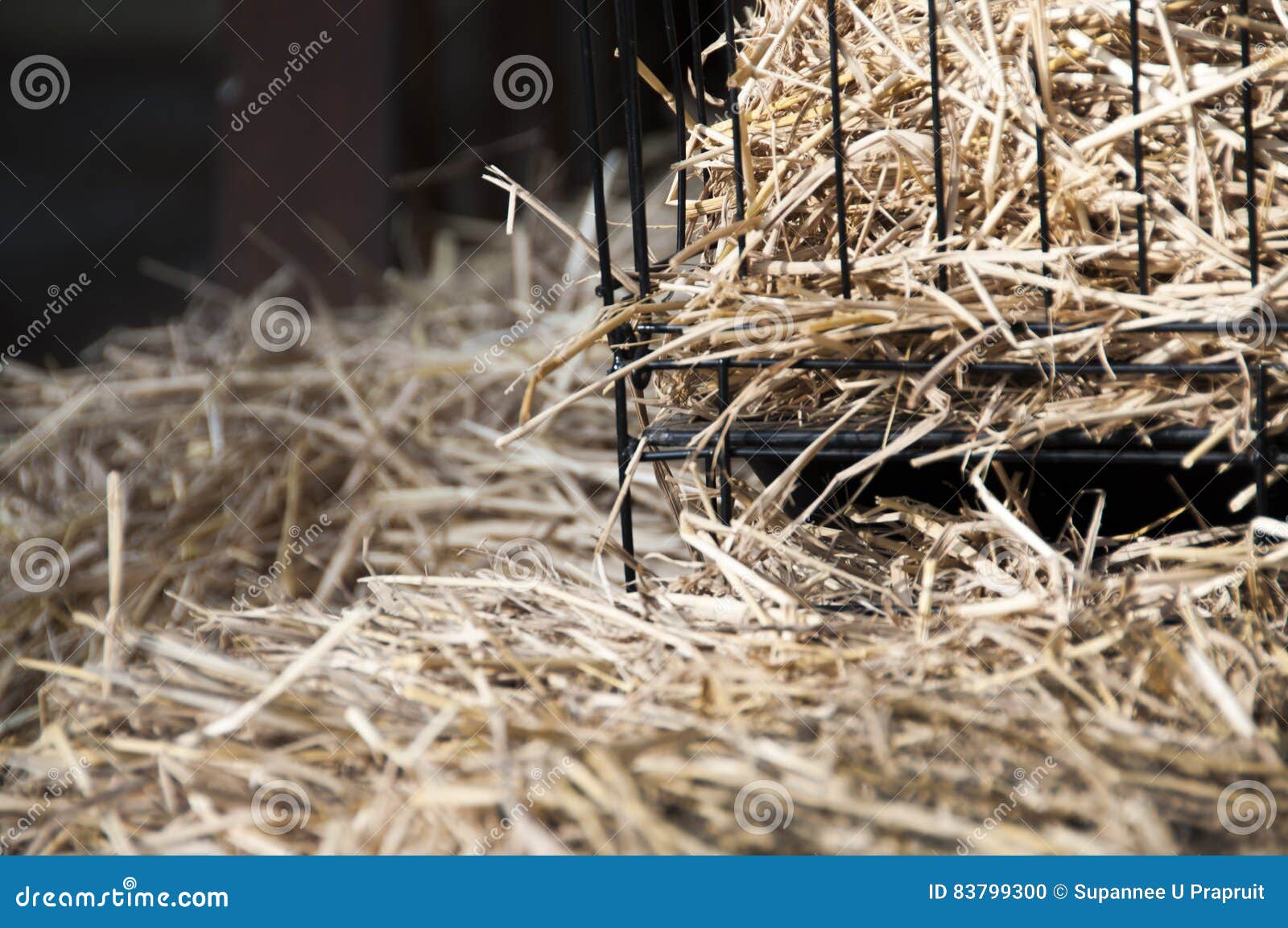 Empty Stack of Hay Bale for Background for Product Display Stock Photo ...