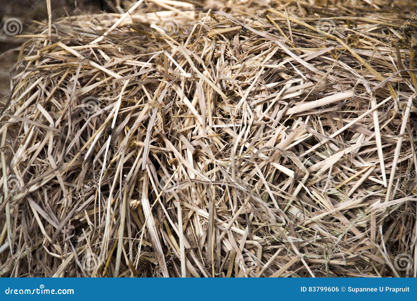 Empty Stack of Hay Bale for Background for Product Display Stock Photo ...