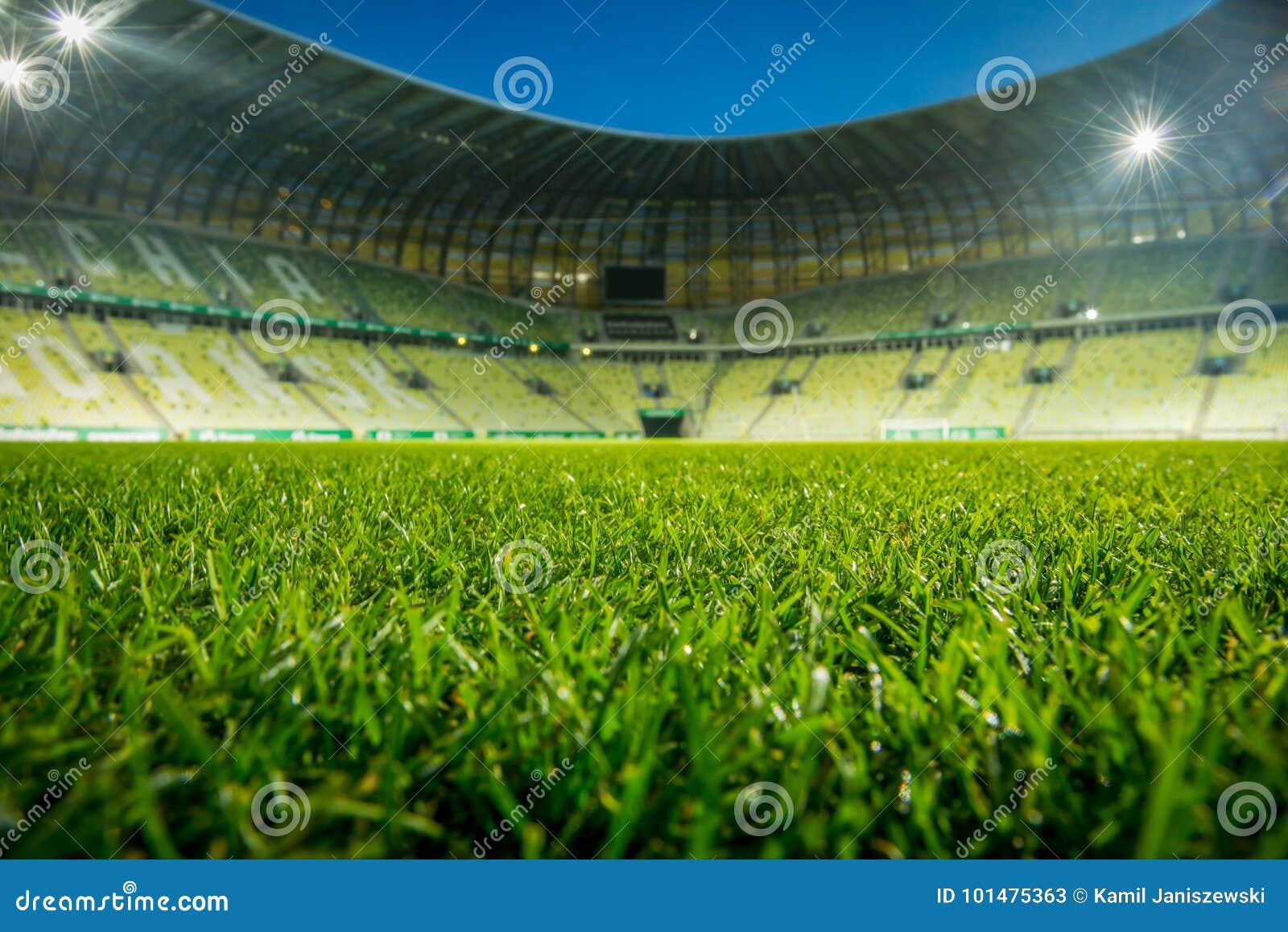 Football Field Grass Up Close