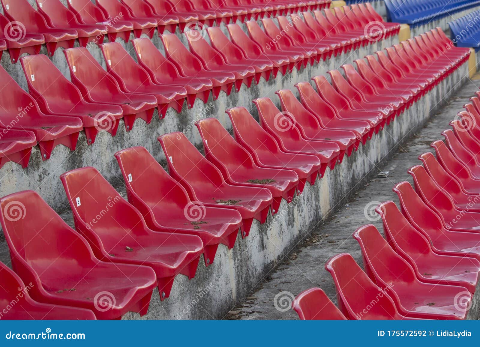 Empty stadium seats stock photo. Image of background - 175572592