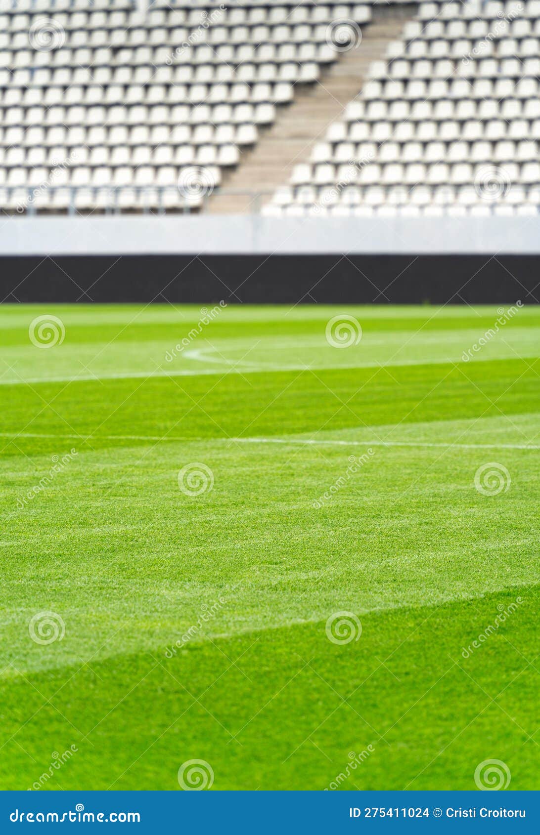 Empty Stadium with White Chairs in Tribune and the Green Lawn Grass ...