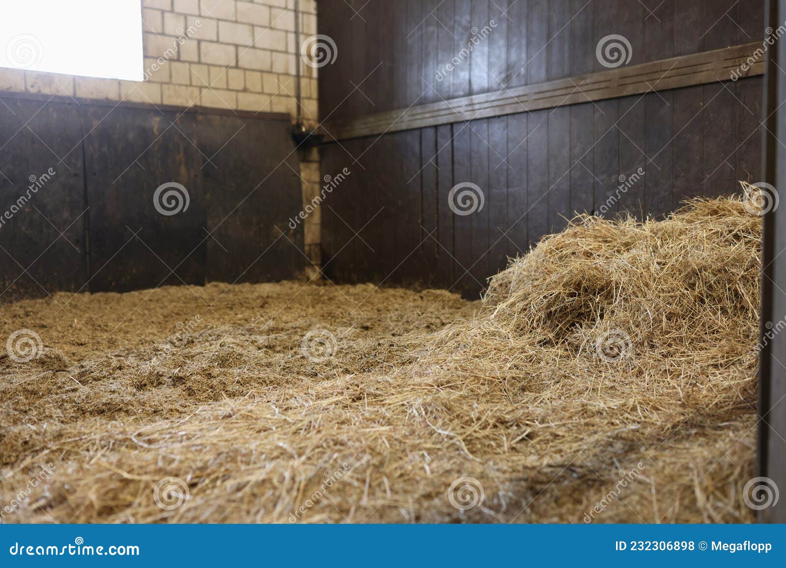 Empty Stall in the Stable with Hay Closeup Stock Photo - Image of ...