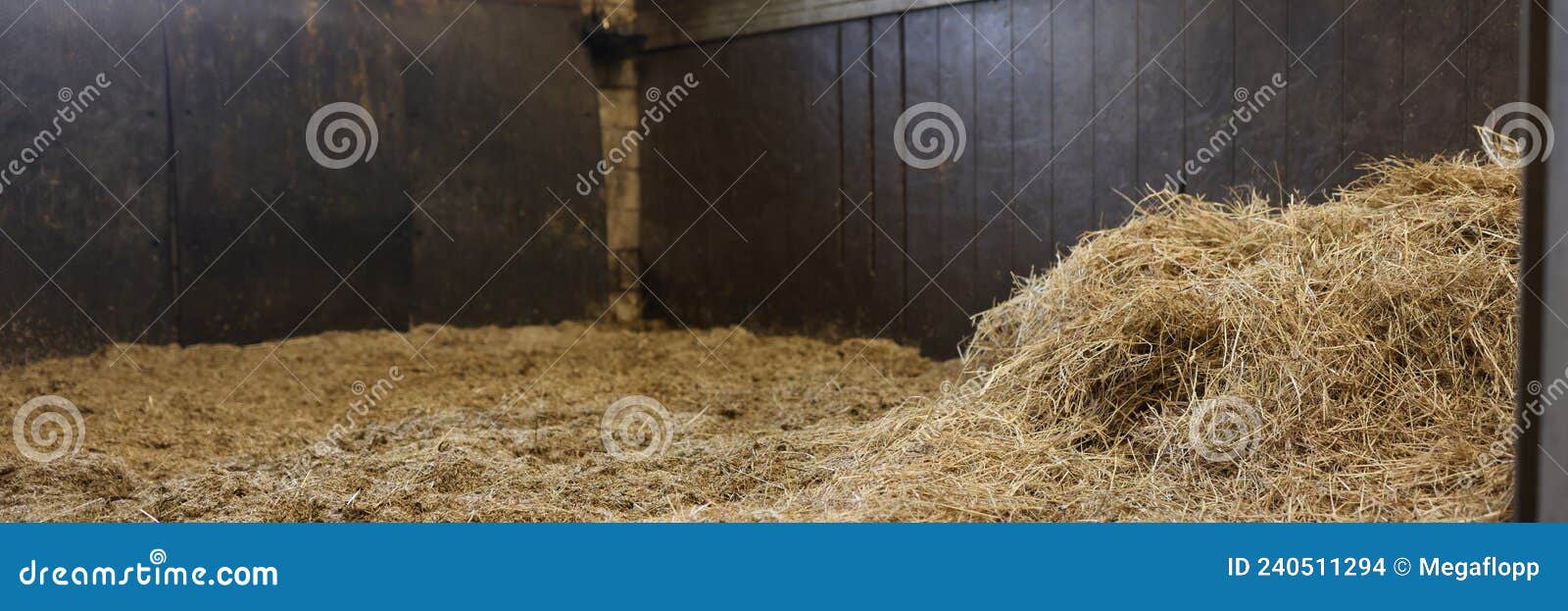 Empty Stall in the Stable with Hay Closeup Stock Photo - Image of ...