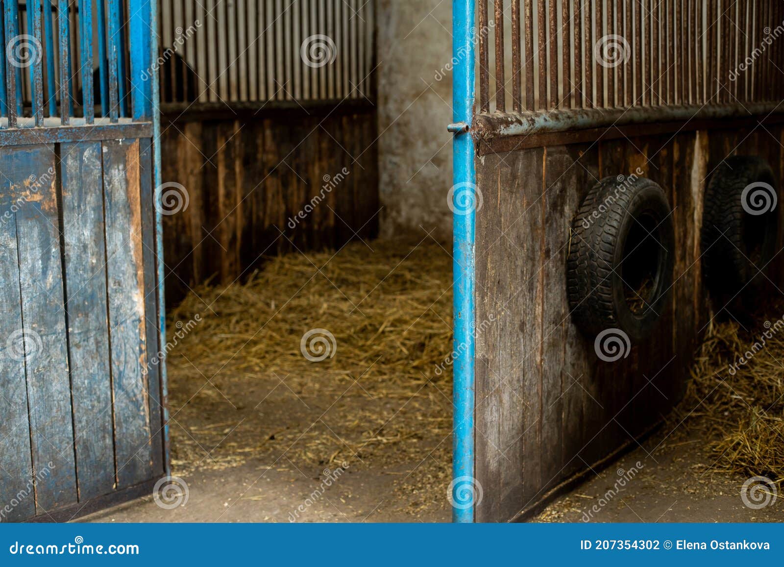 An Empty Stall in the Stable Stock Photo - Image of indoor ...
