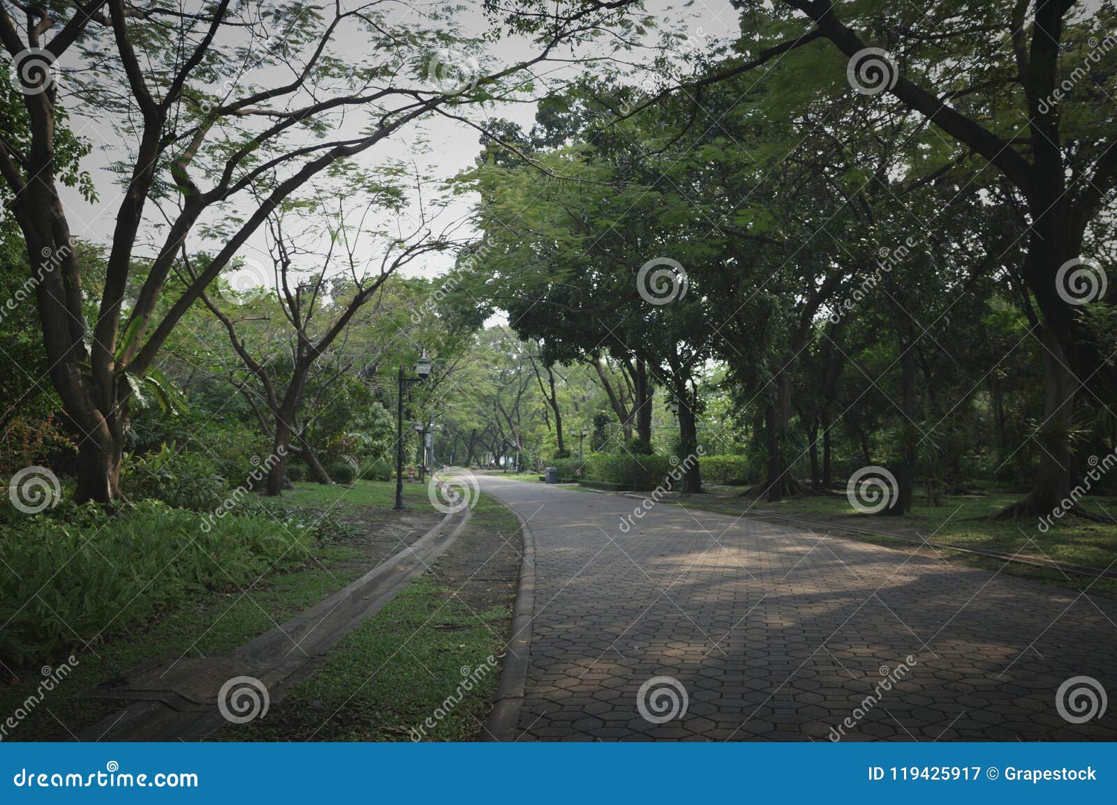 Empty Stone Brick Walk Way Path with Green Grass and Tree in Pub Stock ...