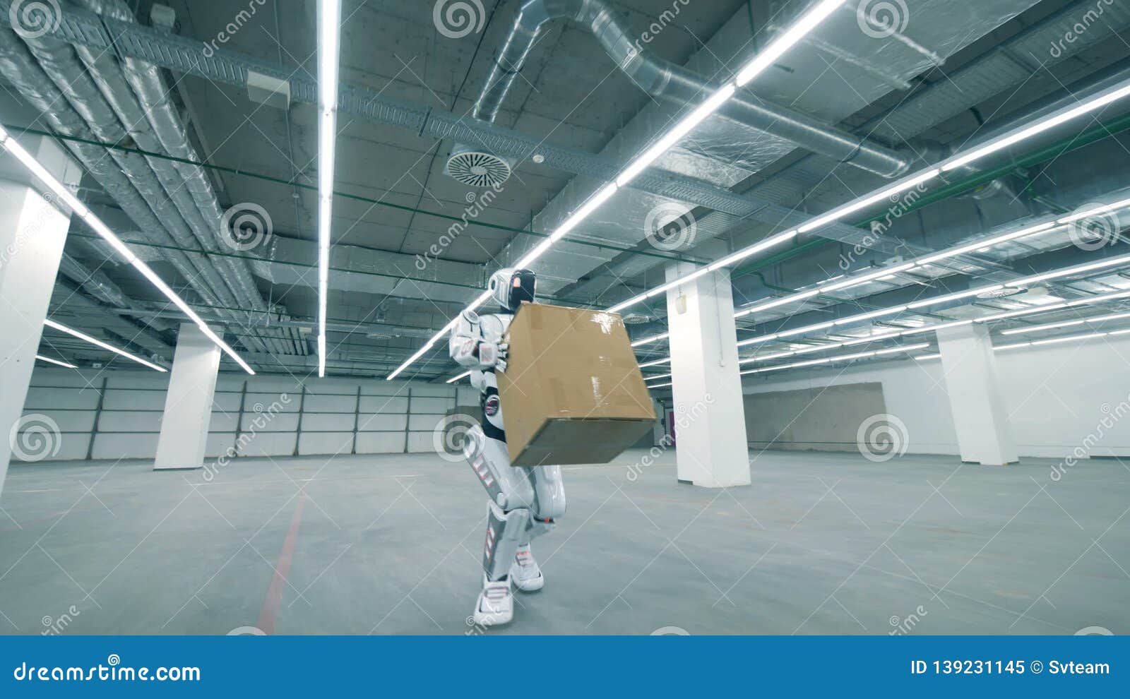 Empty Storage Unit with a Robot Lifting a Carton Box and Carrying it ...