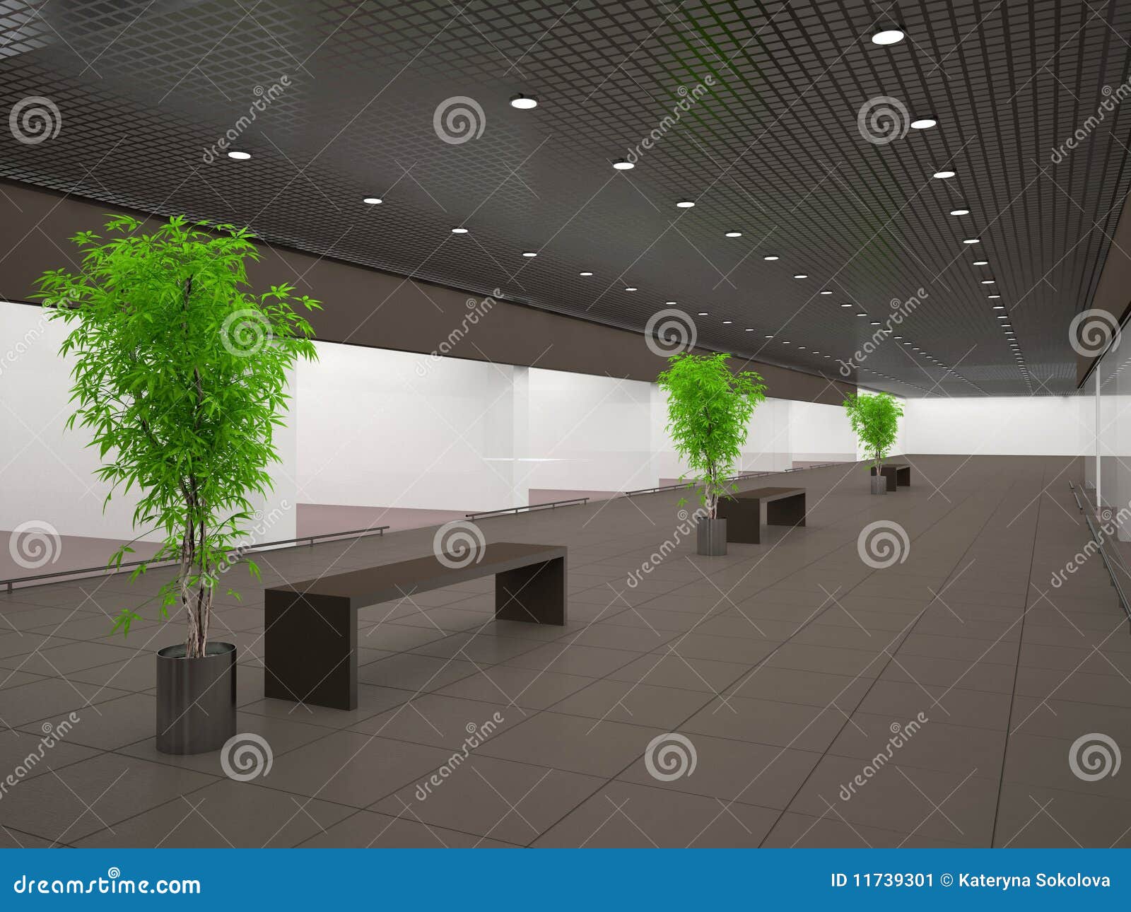 Empty store stock illustration. Illustration of design - 11739301