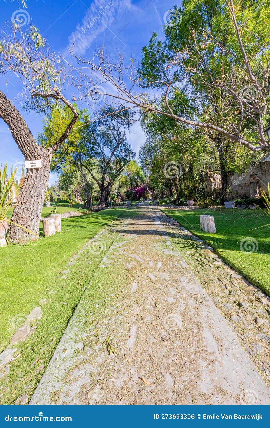 Empty Straight Earthy Stone Path Getting Lost in Background among Green ...