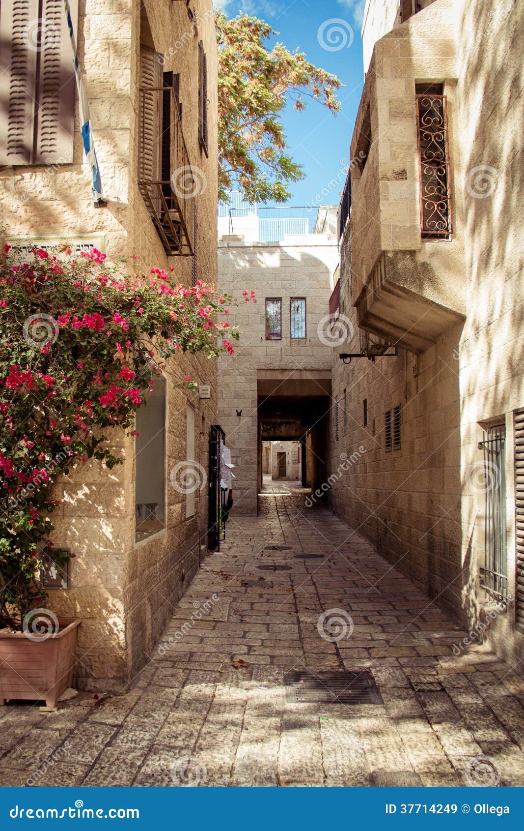 Empty Street of Jerusalem, Olive Mountain, Israel Stock Image - Image ...