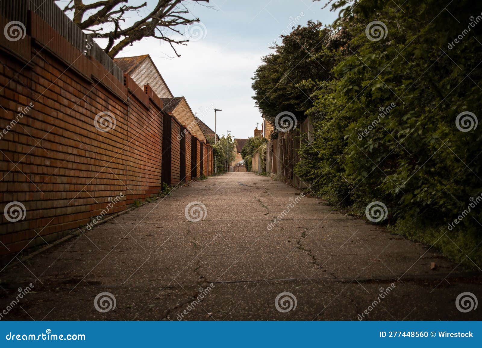 Empty Street Lined with Buildings on Either Side of the Walkway Stock ...