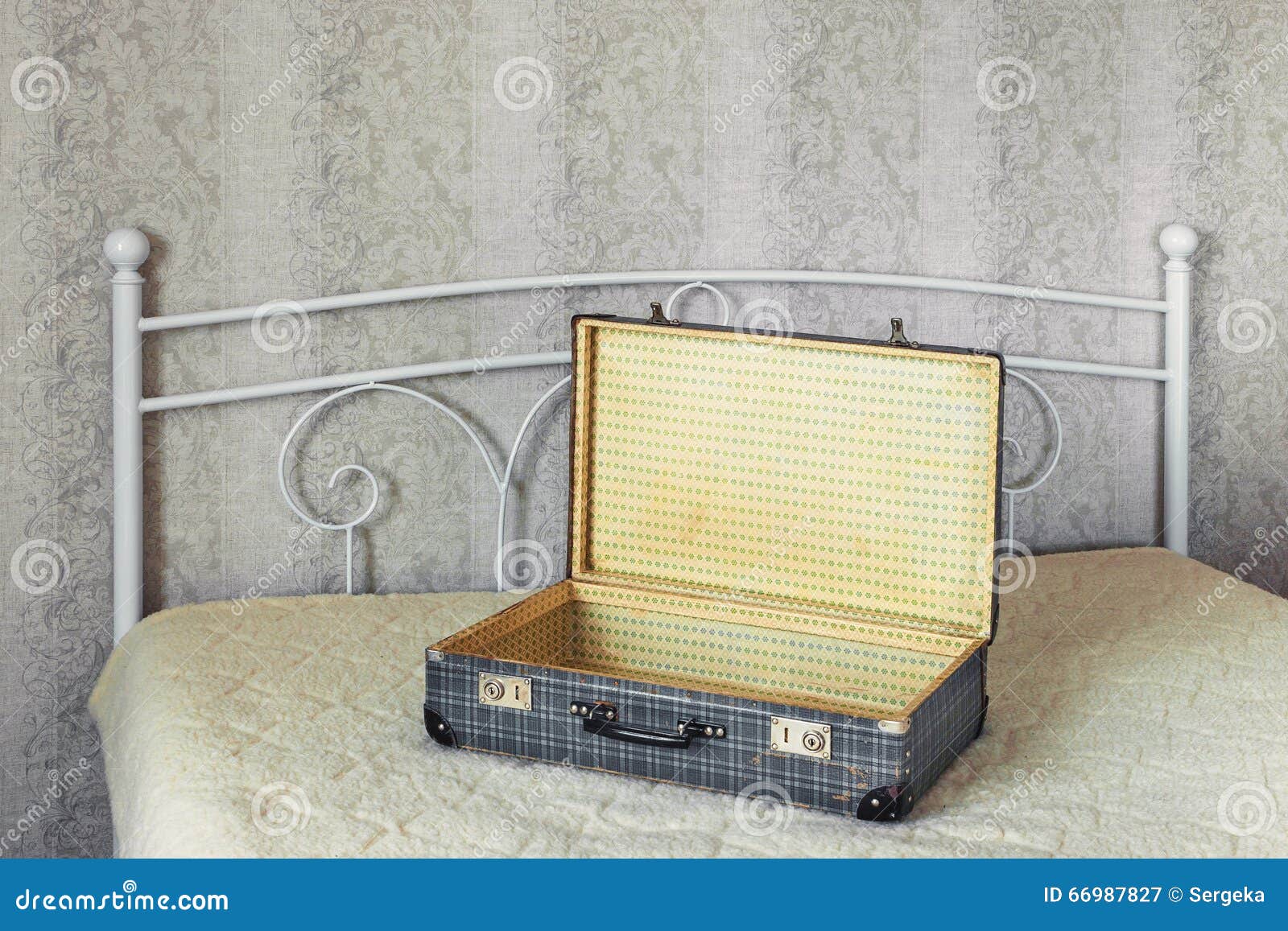 Empty suitcase stock image. Image of interior, package - 66987827