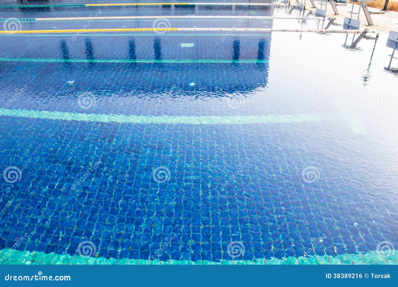 Empty swimming pool stock photo. Image of float, game - 38389216