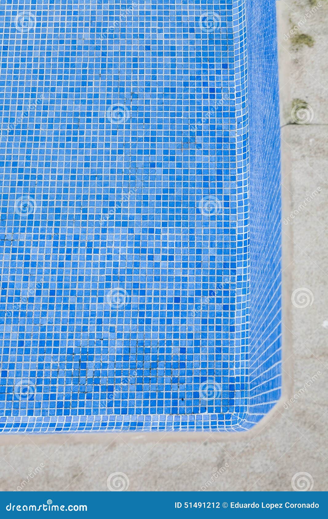 An empty swimming pool stock photo. Image of architecture - 51491212