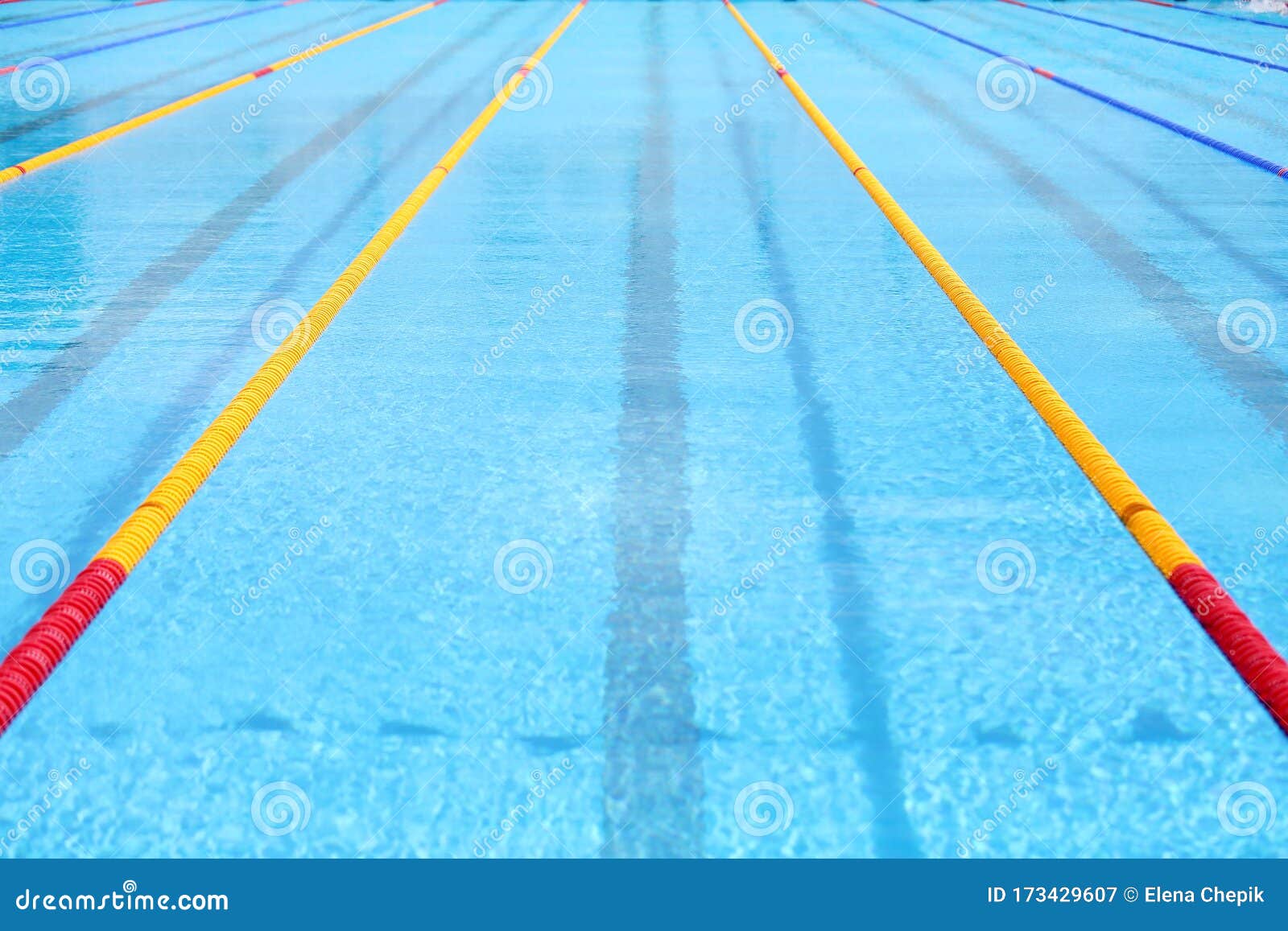 Empty Swimming Pool with Competition Lanes for Background. Stock Image ...