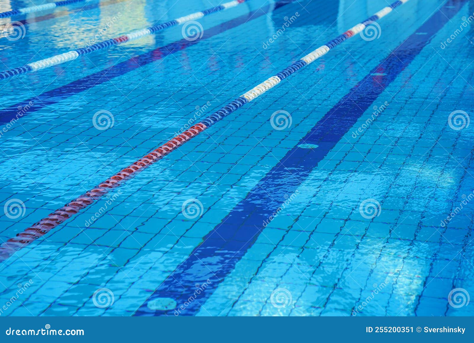 Empty Swimming Pool with Lanes Stock Image - Image of relaxation ...