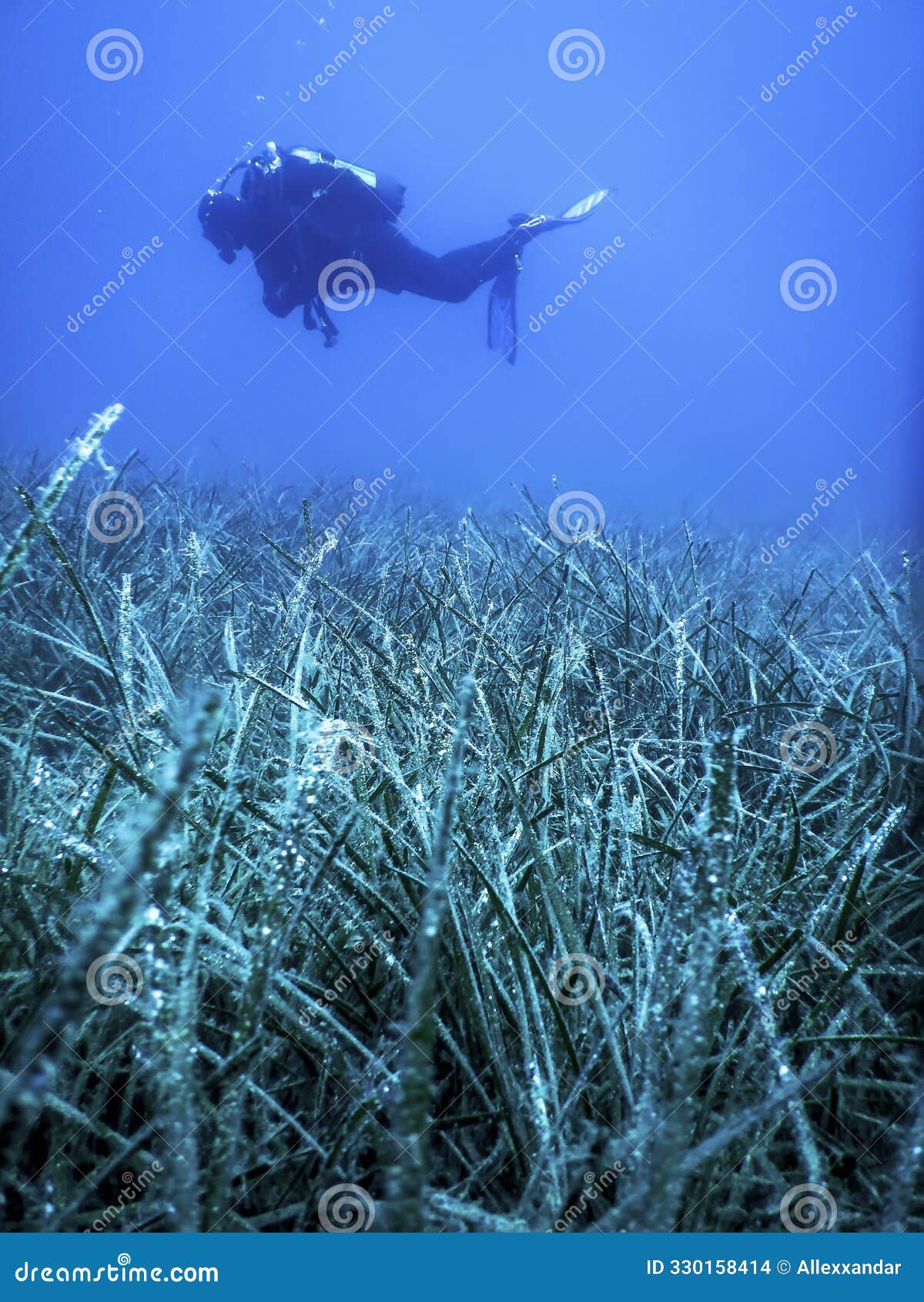 Empty Swimming Pool Underwater Stock Photo - Image of competition ...