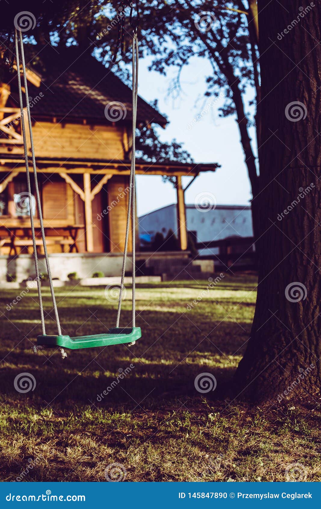 Empty swing stock photo. Image of empty, meadow, park - 145847890