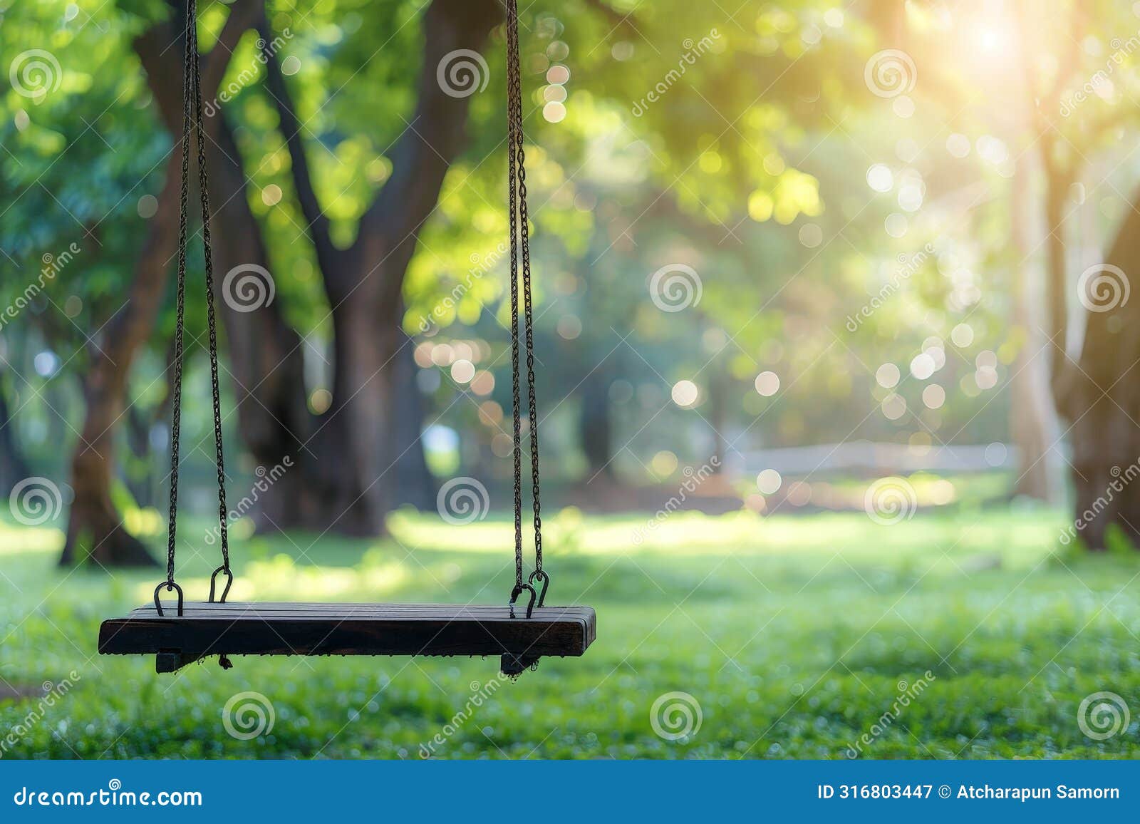 Empty Swing Hanging in the Park in Spring, Summer Vacation Stock Image ...