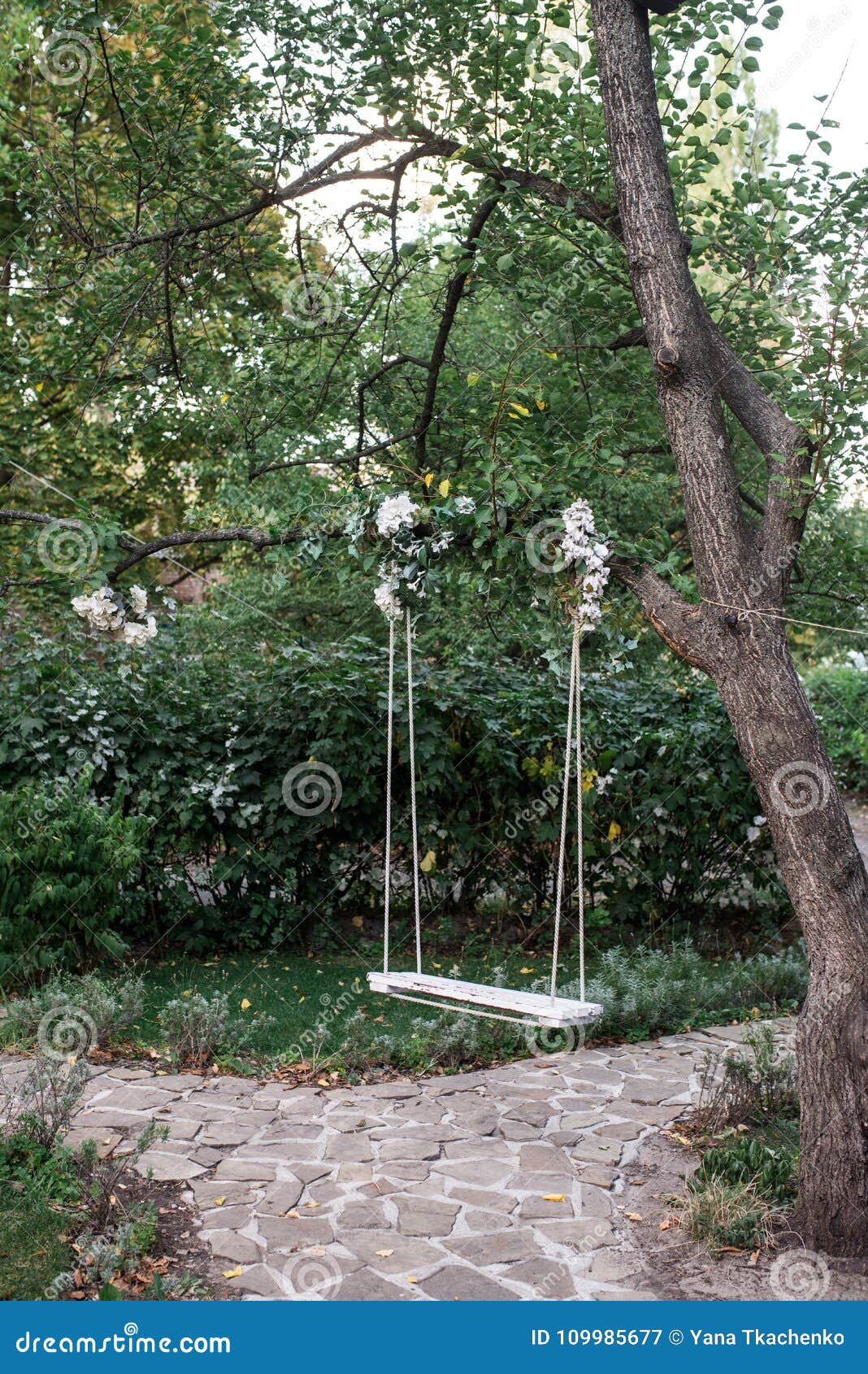 Empty Swing Hangs from Tree in Garden Stock Image - Image of decoration ...