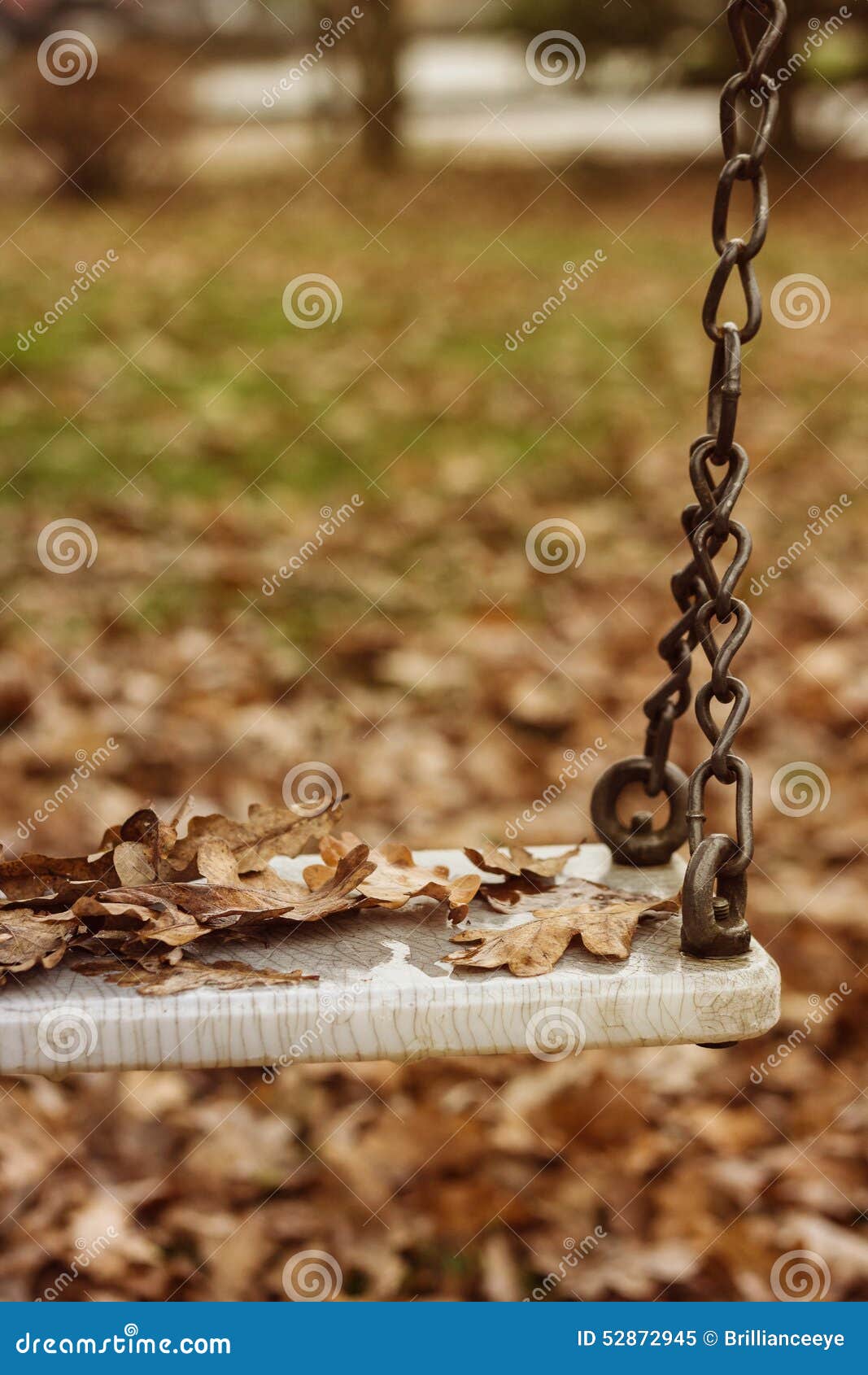 Empty Swing with Leaves in the Autumn Season Stock Image - Image of ...