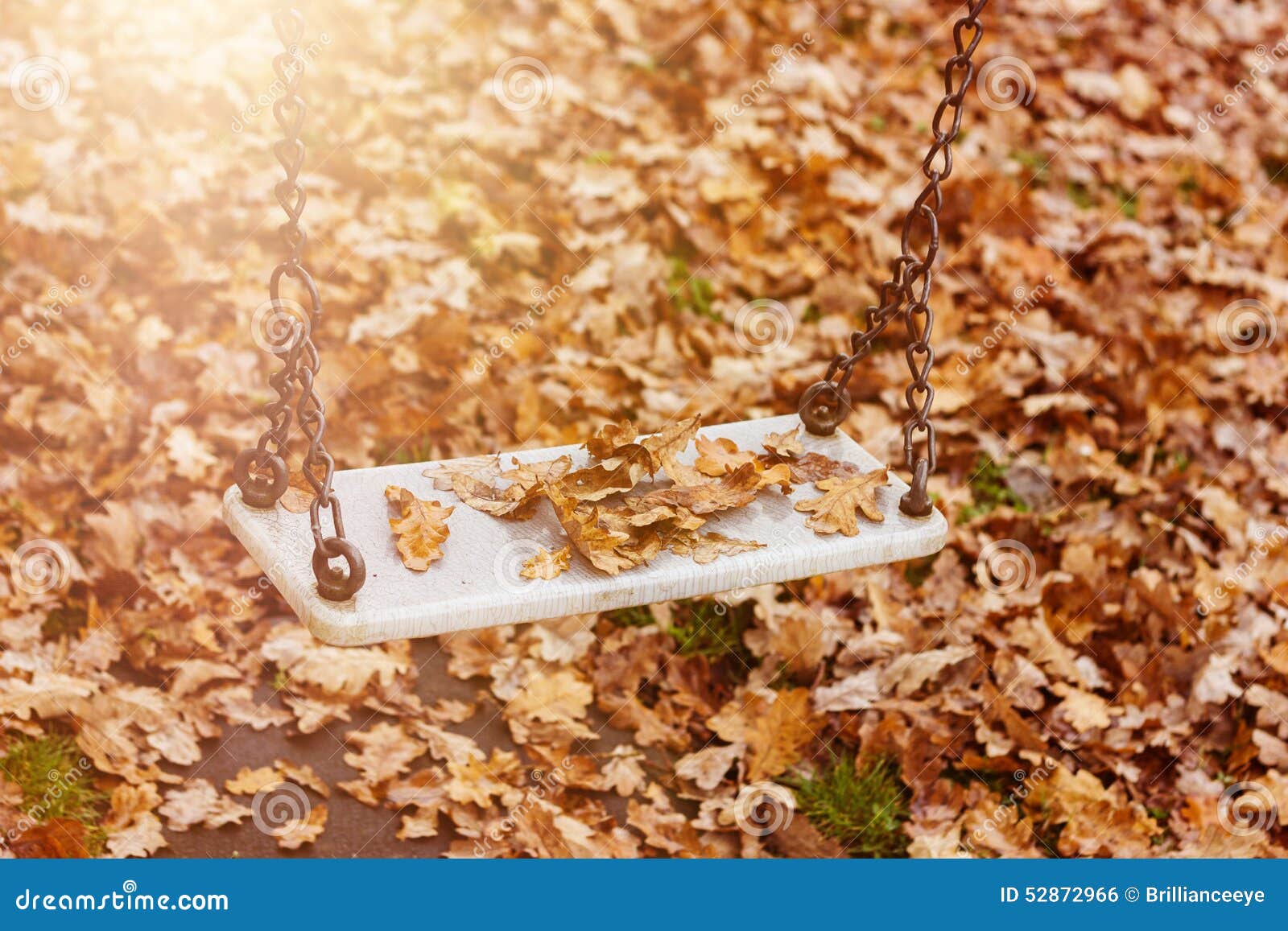 Empty Swing with Leaves in the Autumn Season Stock Photo - Image of ...