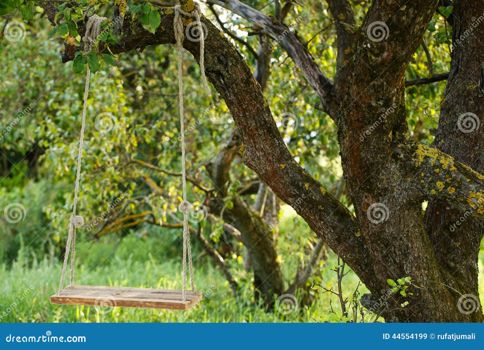 Empty swing in the park stock image. Image of green, empty - 44554199