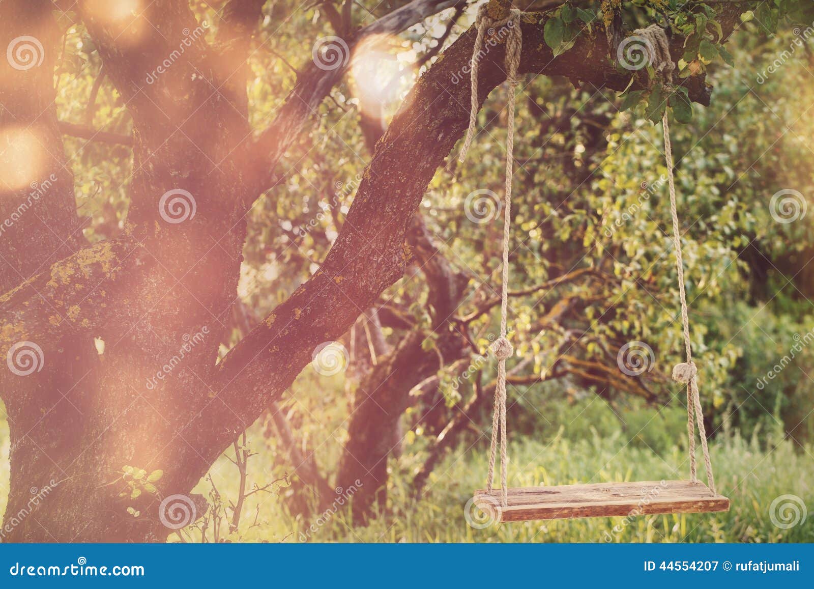 Empty swing in the park stock image. Image of nature - 44554207