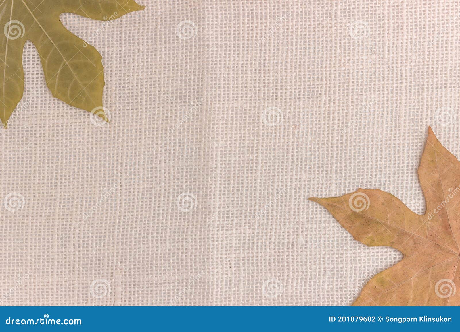 Empty Table Background for Text Stock Photo - Image of background, card ...