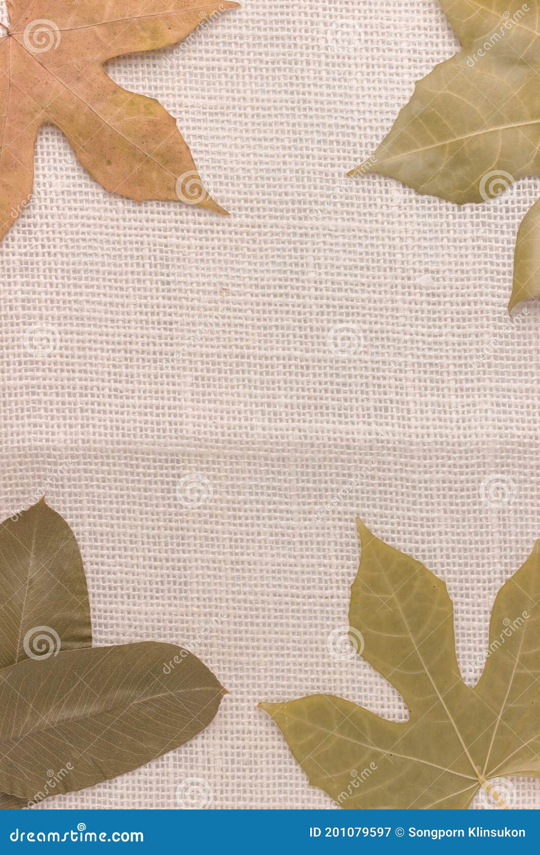Empty Table Texture for Text Stock Image - Image of board, fall: 201079597