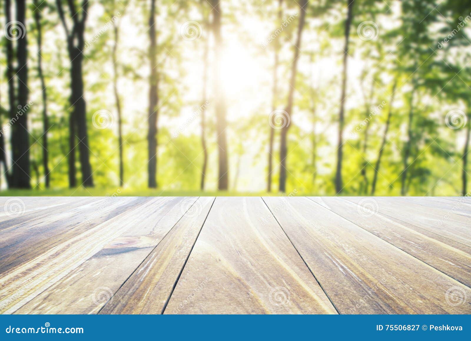 Empty Table on Nature Background Stock Illustration - Illustration of ...