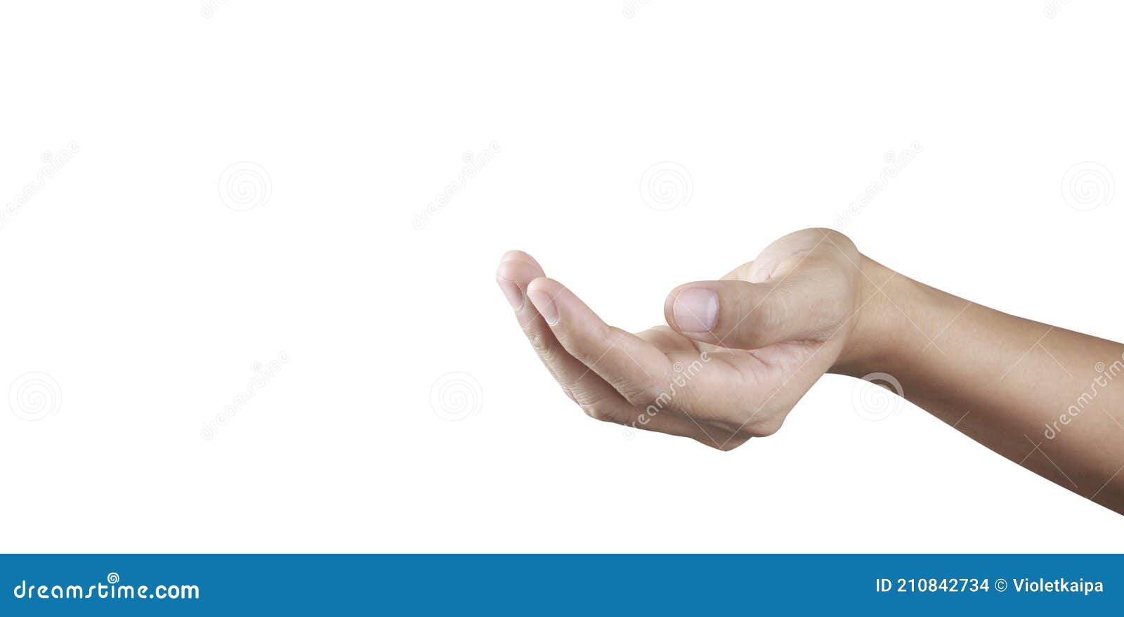 Empty Hand Open Isolated on White Stock Photo - Image of female, hold ...