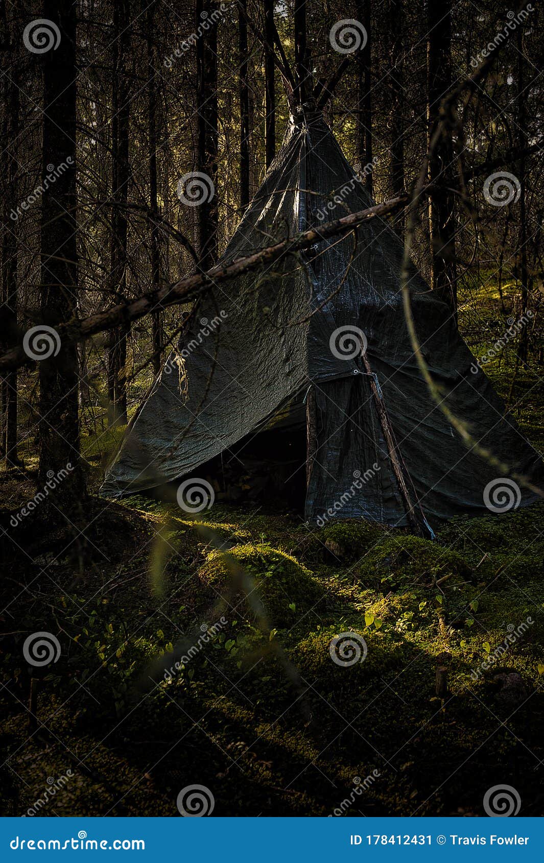 A Empty Tent in a Dark Forest Stock Image - Image of lonely, wilderness ...