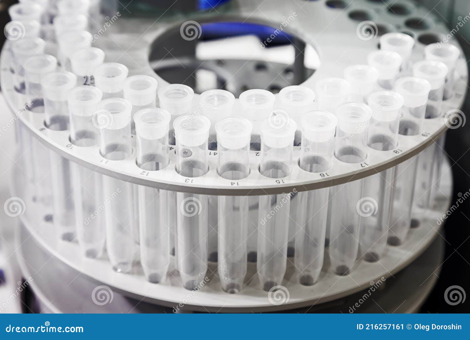 Empty Test Tubes are Placed in the Counter of a Medical Center Stock ...