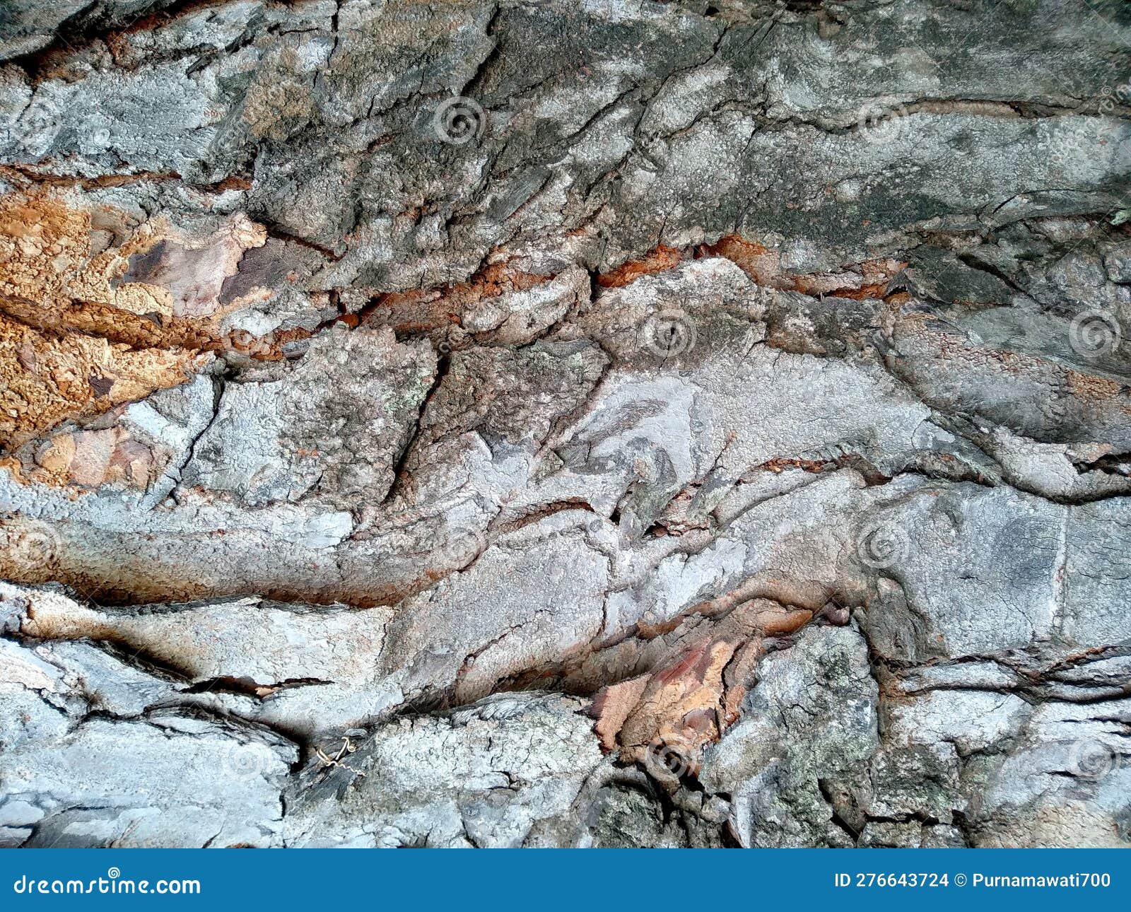 Empty Texture of Wall Wood. Elegant and Beautiful Background Stock ...