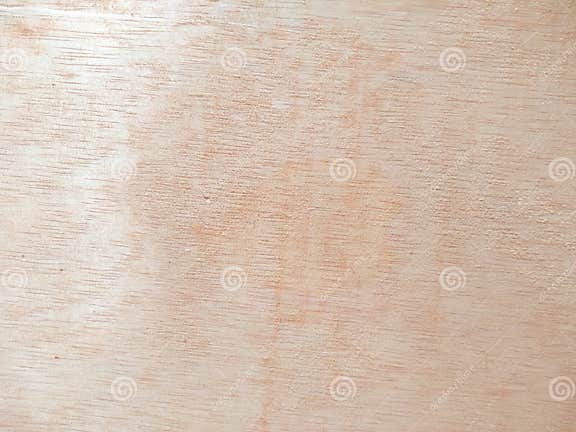 Empty Texture of Wall Wood. Elegant and Beautiful Background Stock ...