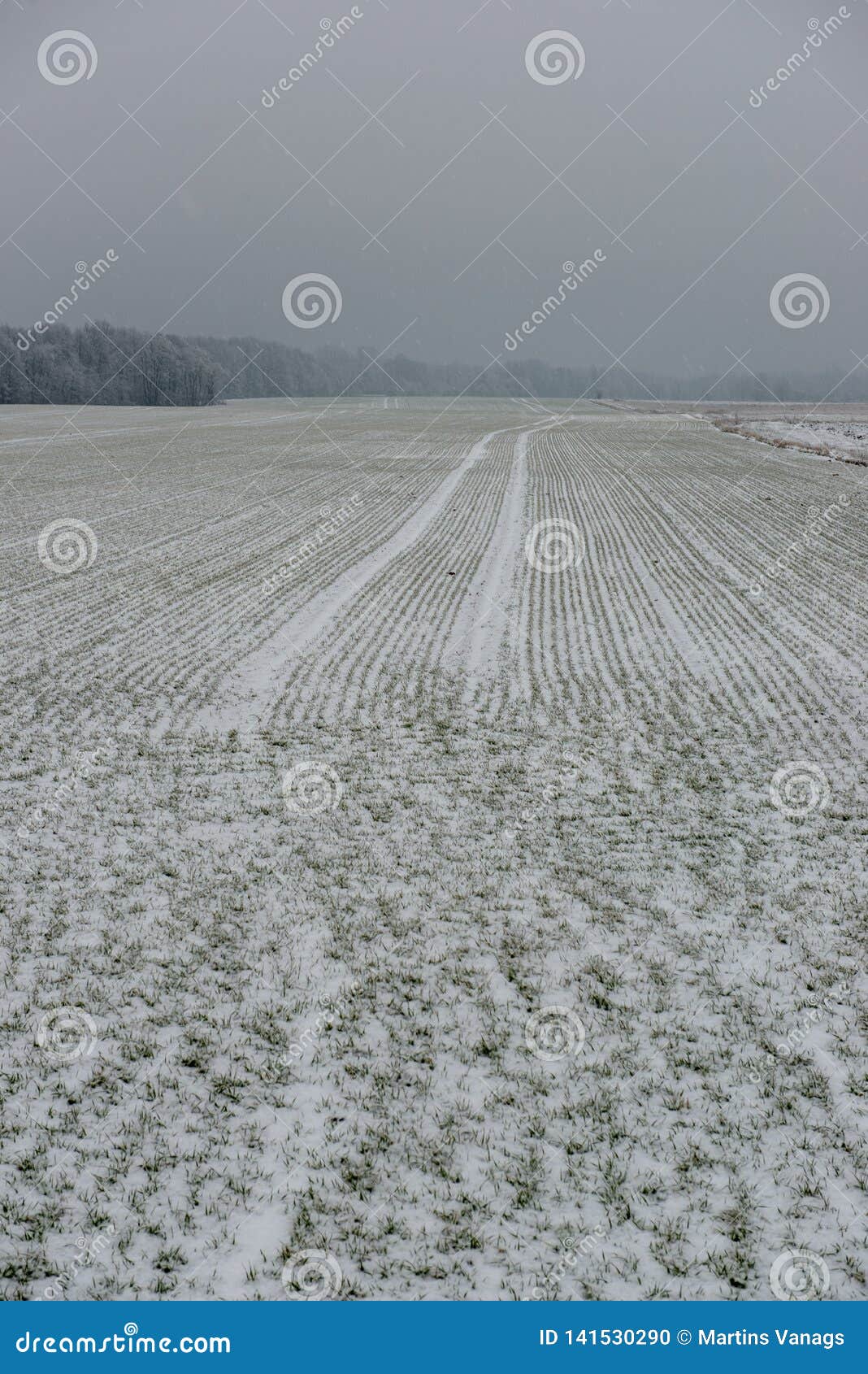 Empty Textured Field in Winter Countryside Stock Photo - Image of ...