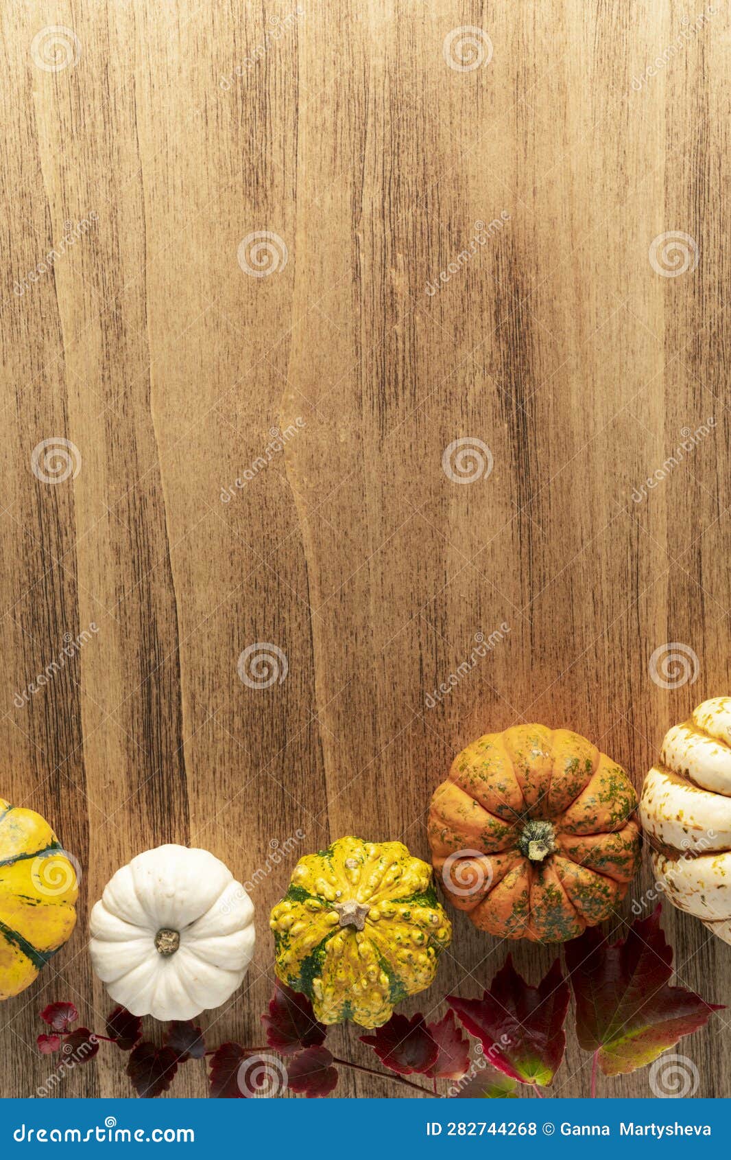 Empty Thanksgiving Background with Pumpkins and Autumn Leaves, Stock ...