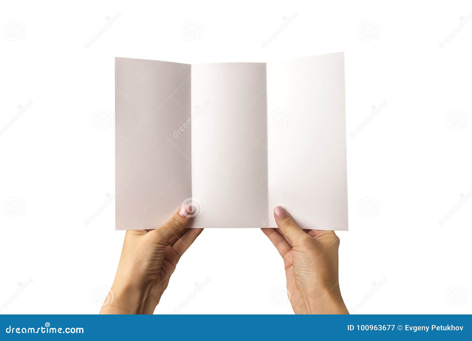 An Empty Three-fold Pamphlet in Hand. on a White Background. a Model ...