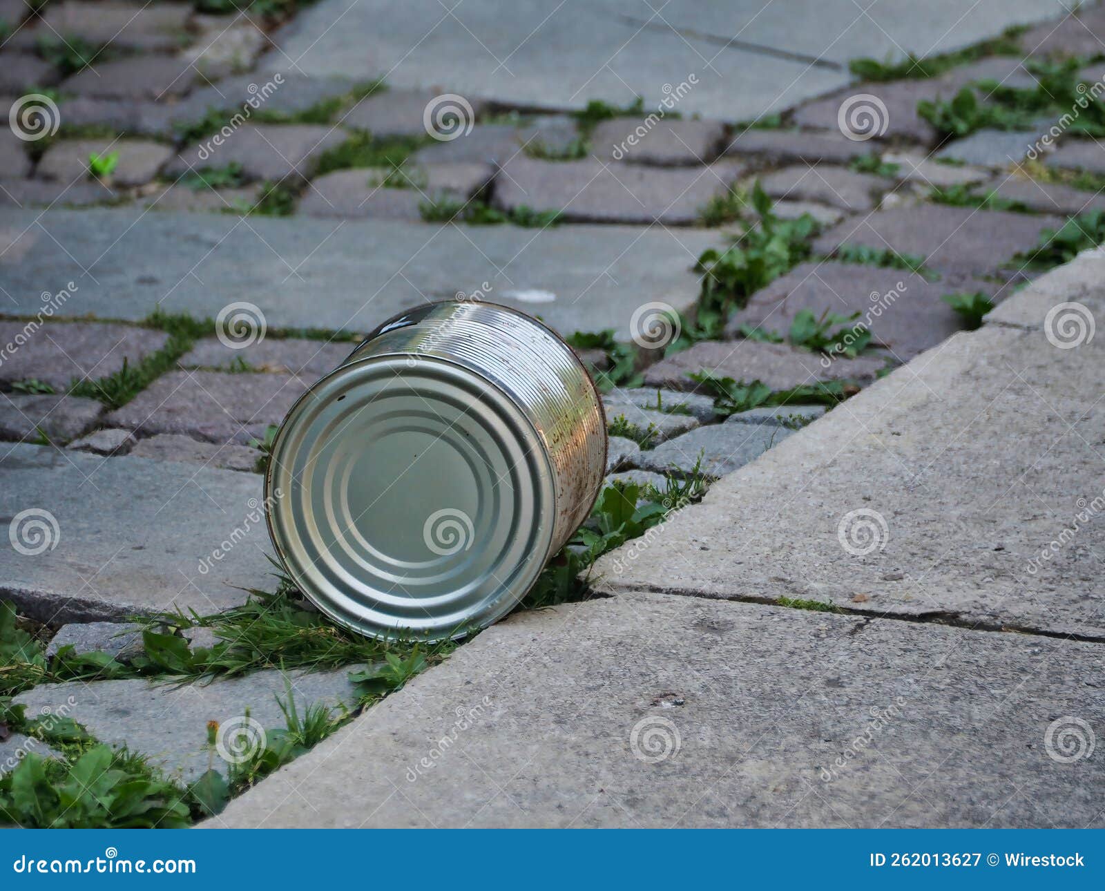 Empty Tin Can on the Ground Stock Image - Image of metallic, outside ...