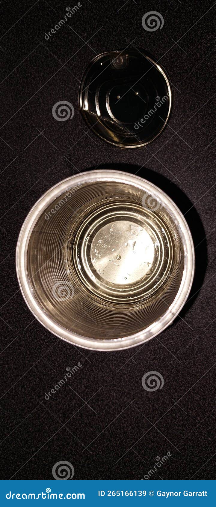 Empty tin can washed stock image. Image of empty, light - 265166139