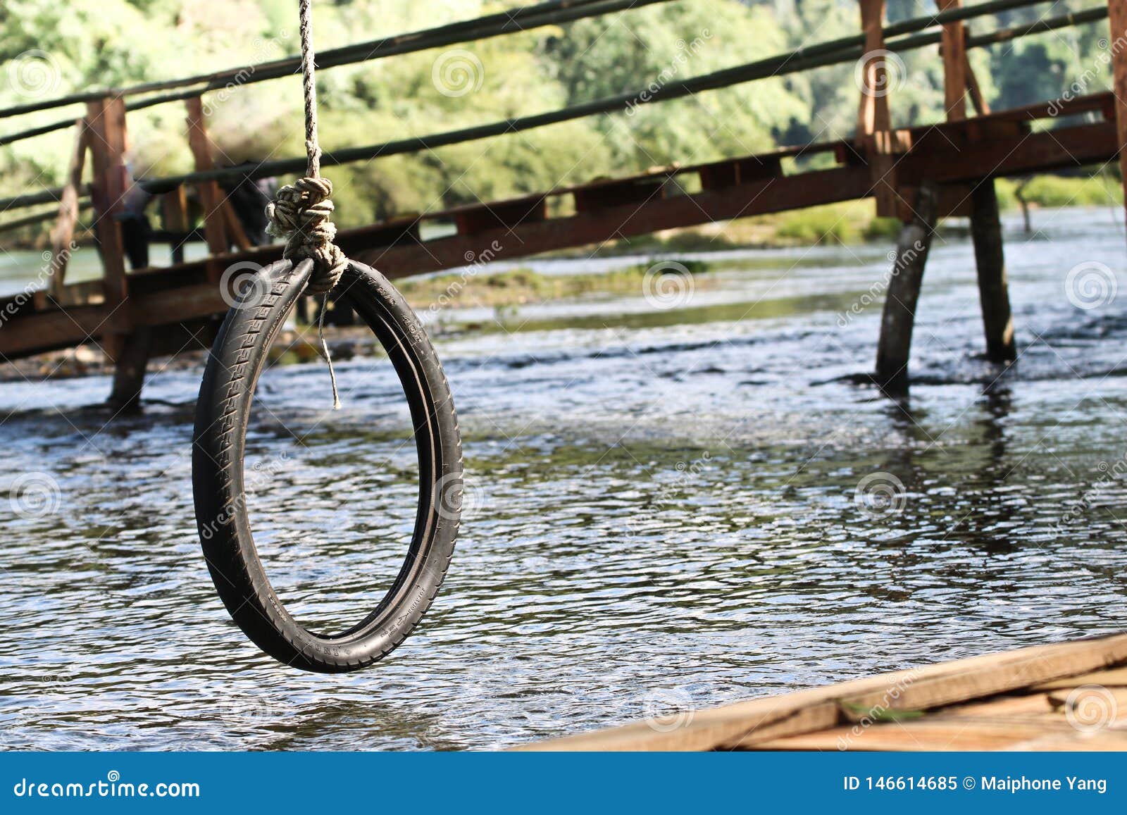 Empty Tire Swing on River Bank Stock Image - Image of local, park ...