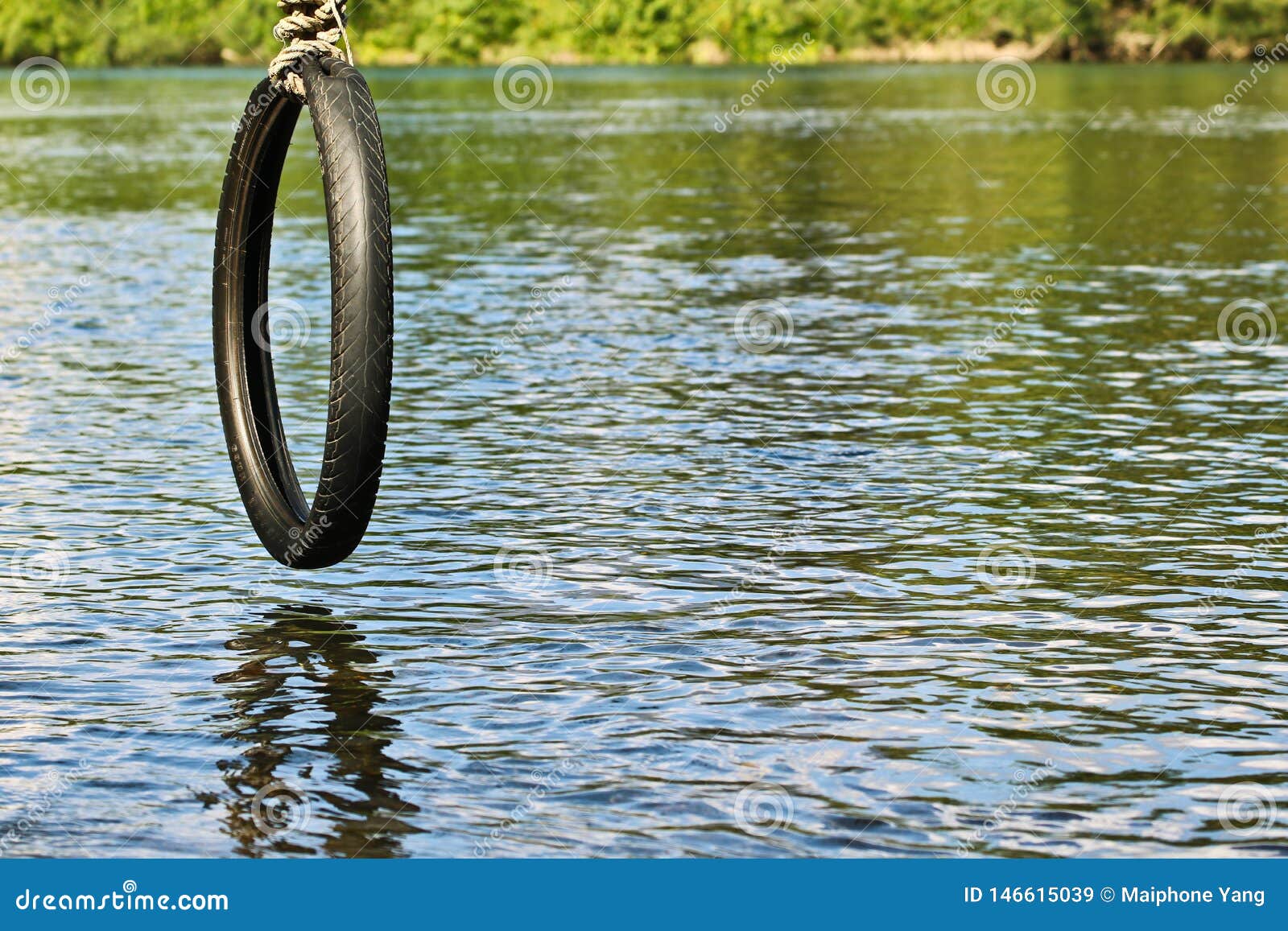 Empty Tire Swing on River Bank Stock Image - Image of local, fresh ...