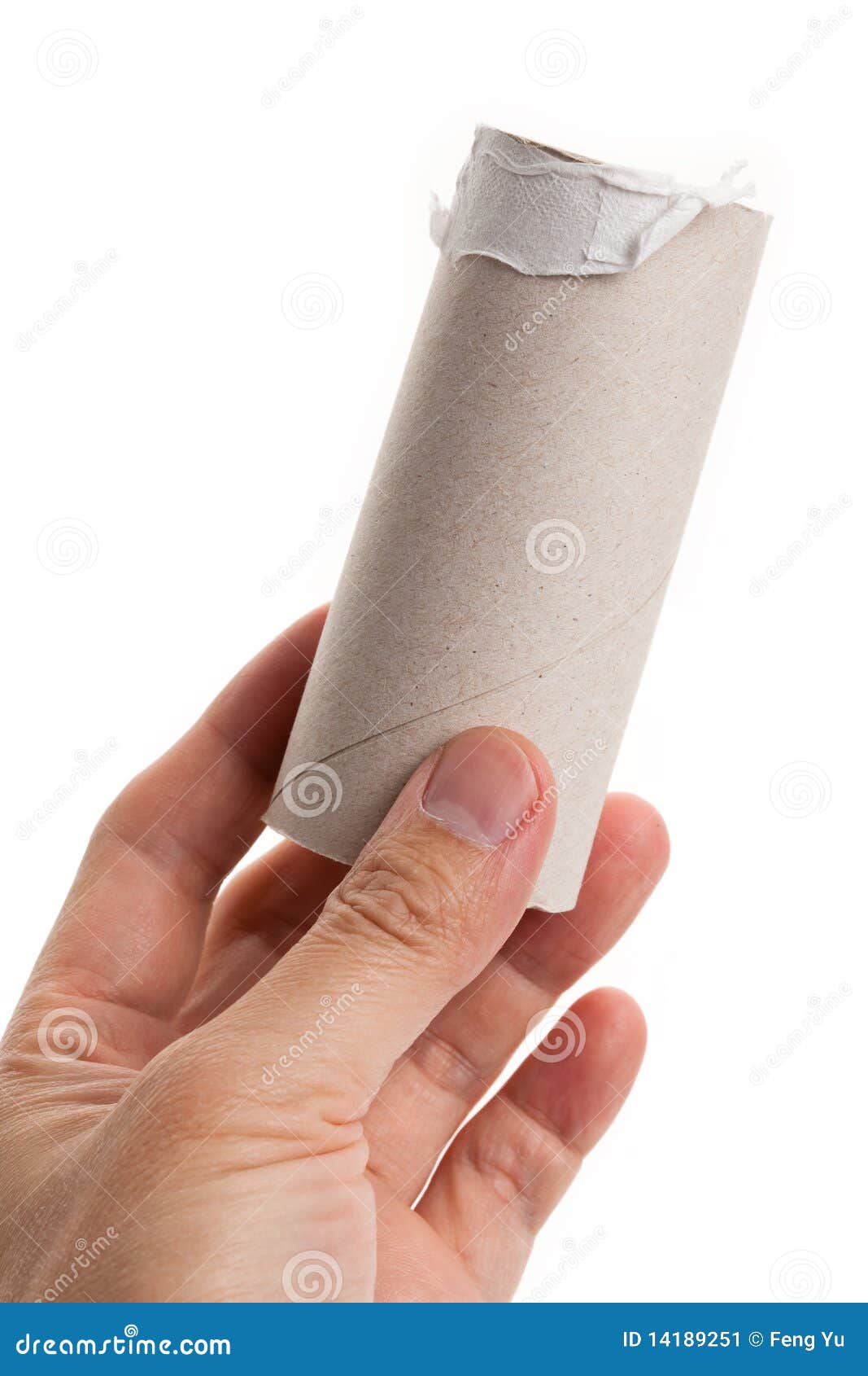 Empty Toilet Paper Roll stock image. Image of holding - 14189251