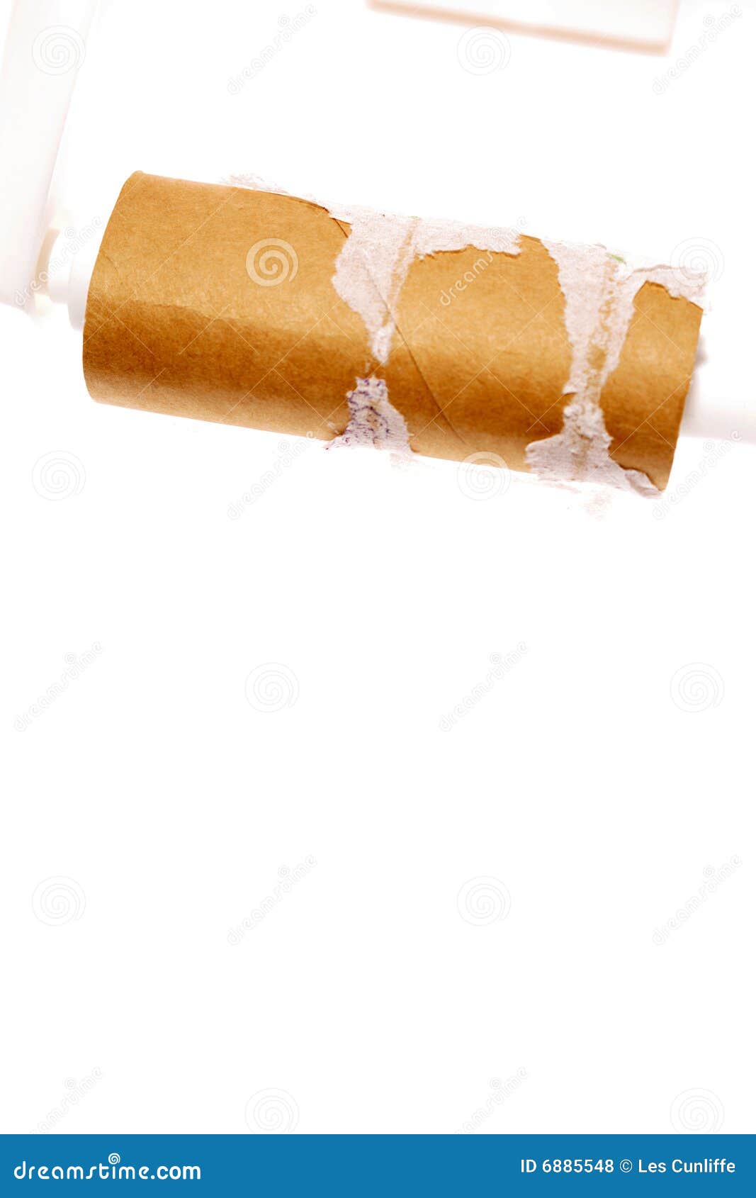 Empty toilet paper roll stock photo. Image of roll, empty - 6885548