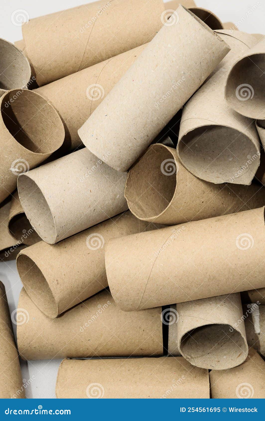 Empty Toilet Paper Roll , Digital Photo Image Stock Image - Image of ...