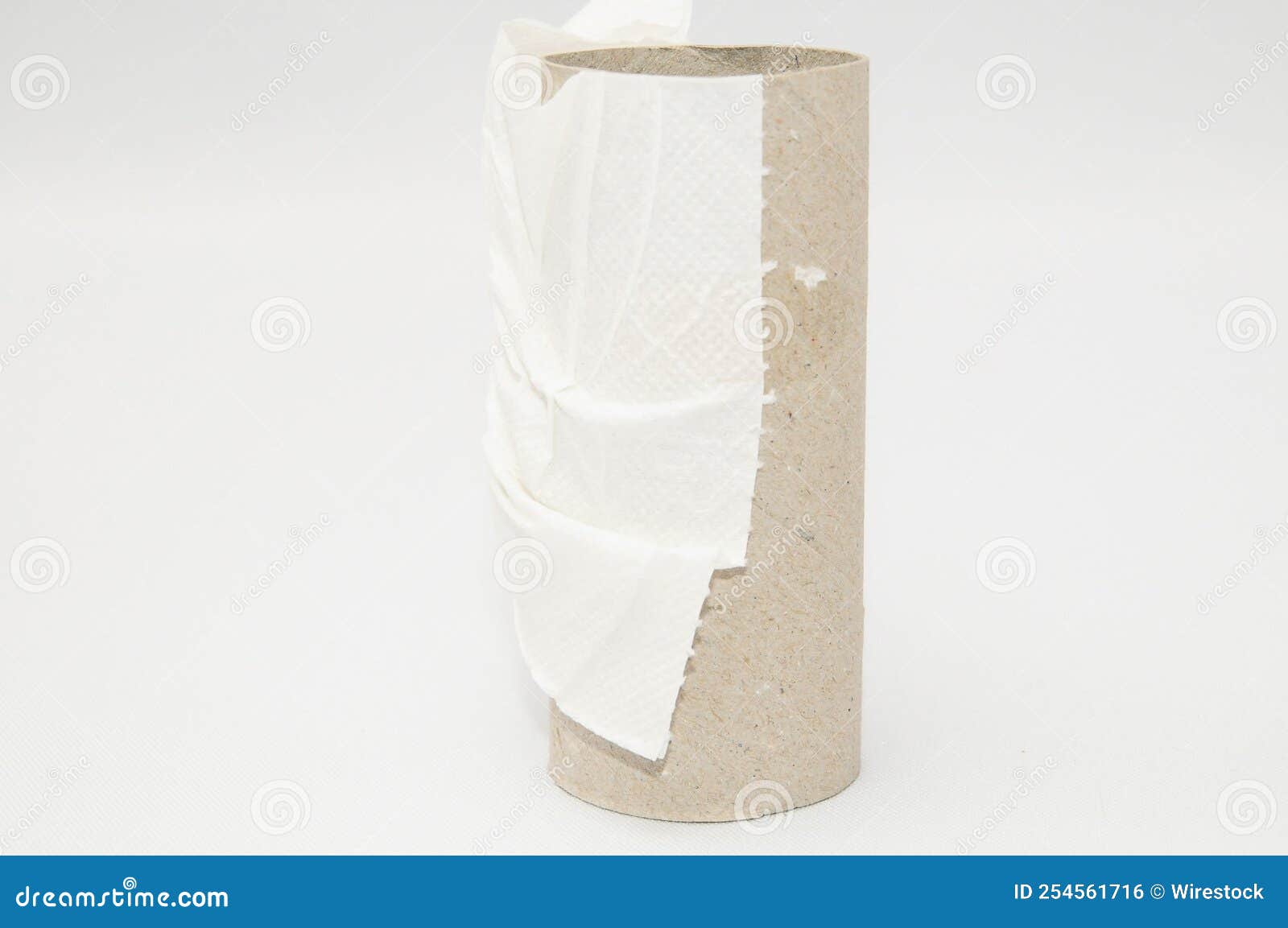 Empty Toilet Paper Roll , Digital Photo Image Stock Photo - Image of ...