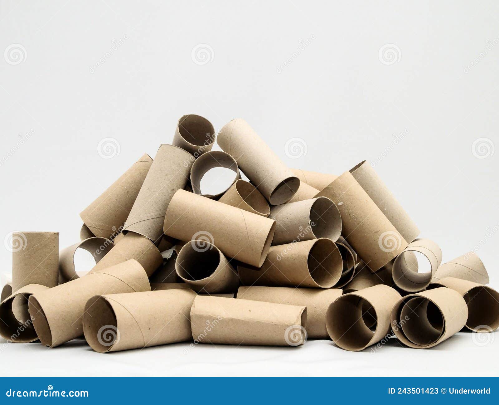 Empty Toilet Paper Roll stock image. Image of roll, brown - 243501423